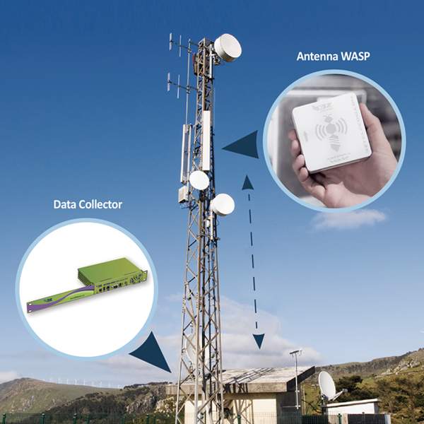 WASP (Discontinued) | VIAVI Solutions Inc.