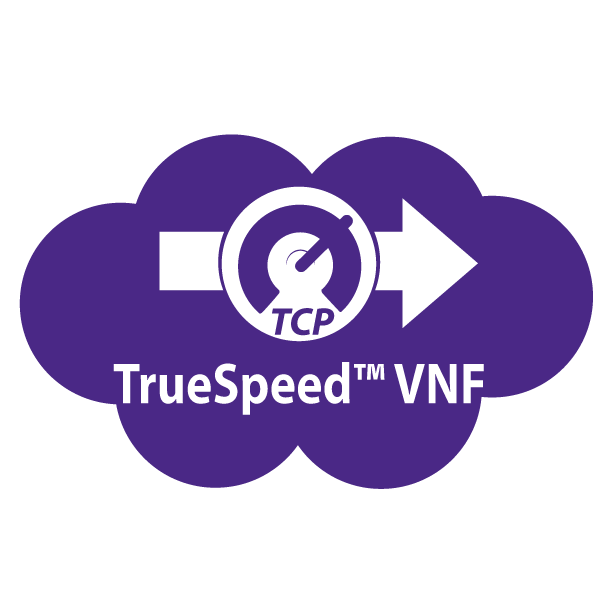 RFC 6349-based TCP Throughput Testing | VIAVI Solutions TrueSpeed VNF
