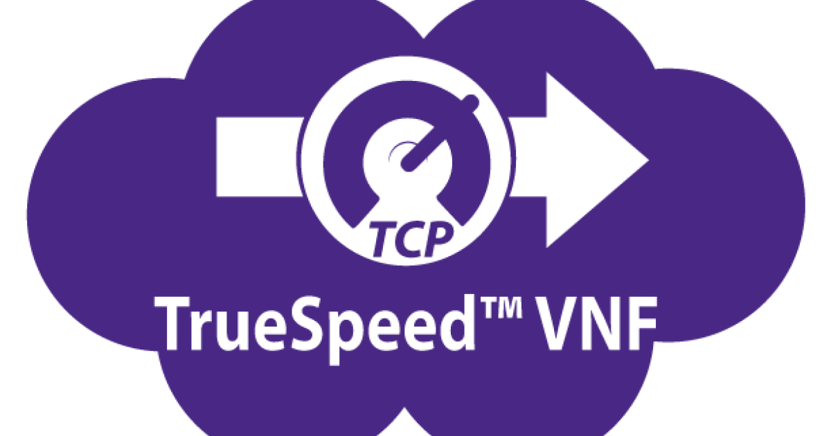 RFC 6349-based TCP Throughput Testing | VIAVI Solutions TrueSpeed VNF
